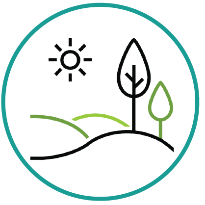 Services - Real & Artificial Turf Laying - DECOBUG